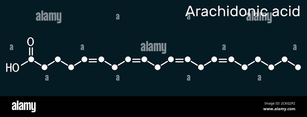 Arachidonic acid, AA, ARA molecule. It is unsaturated omega-6 fatty ...