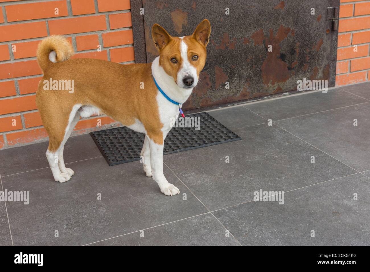 Threshold of life hi-res stock photography and images - Alamy