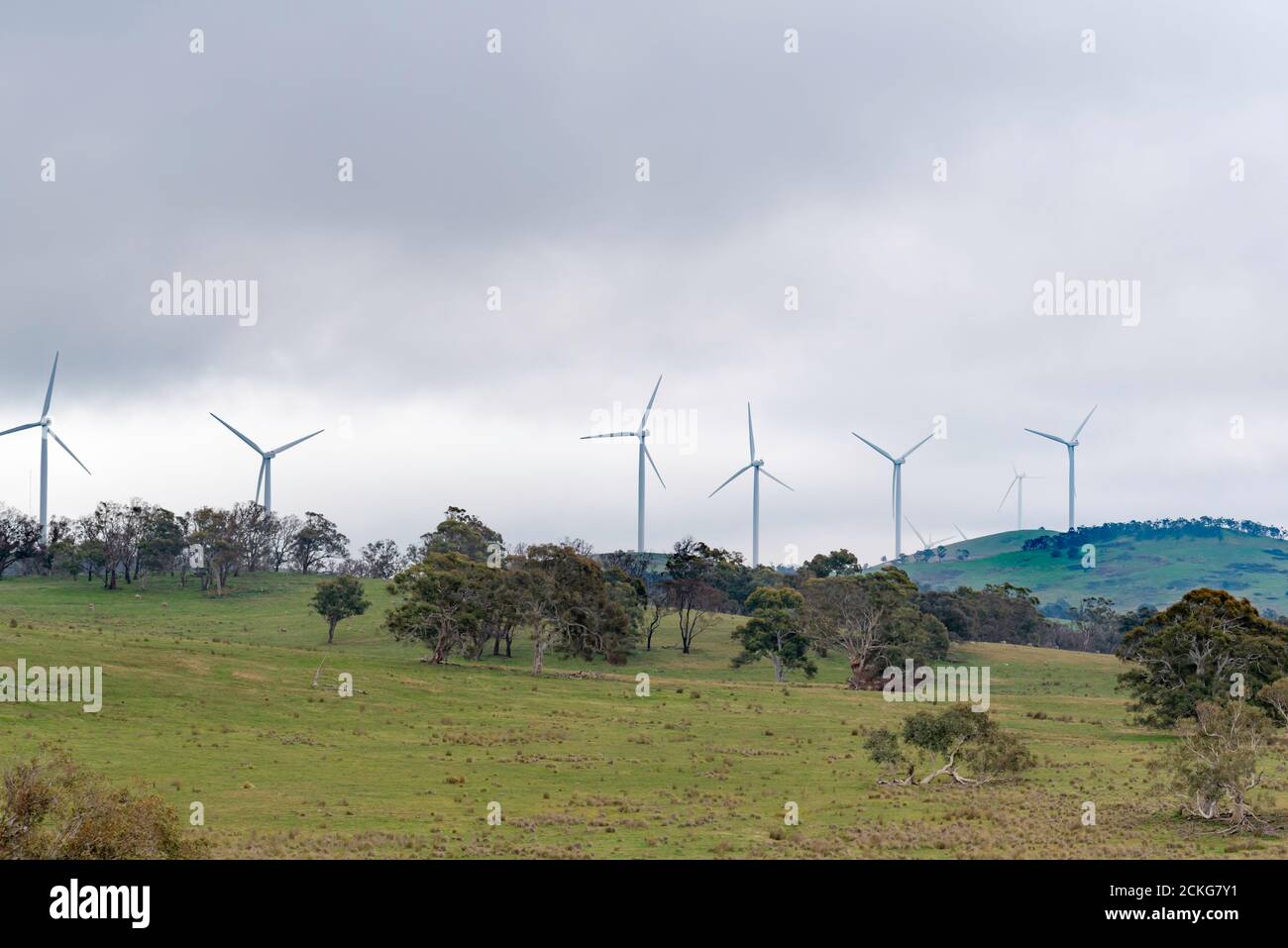 Wind farm turbines at the Capital Wind Farm almost disappear under ...