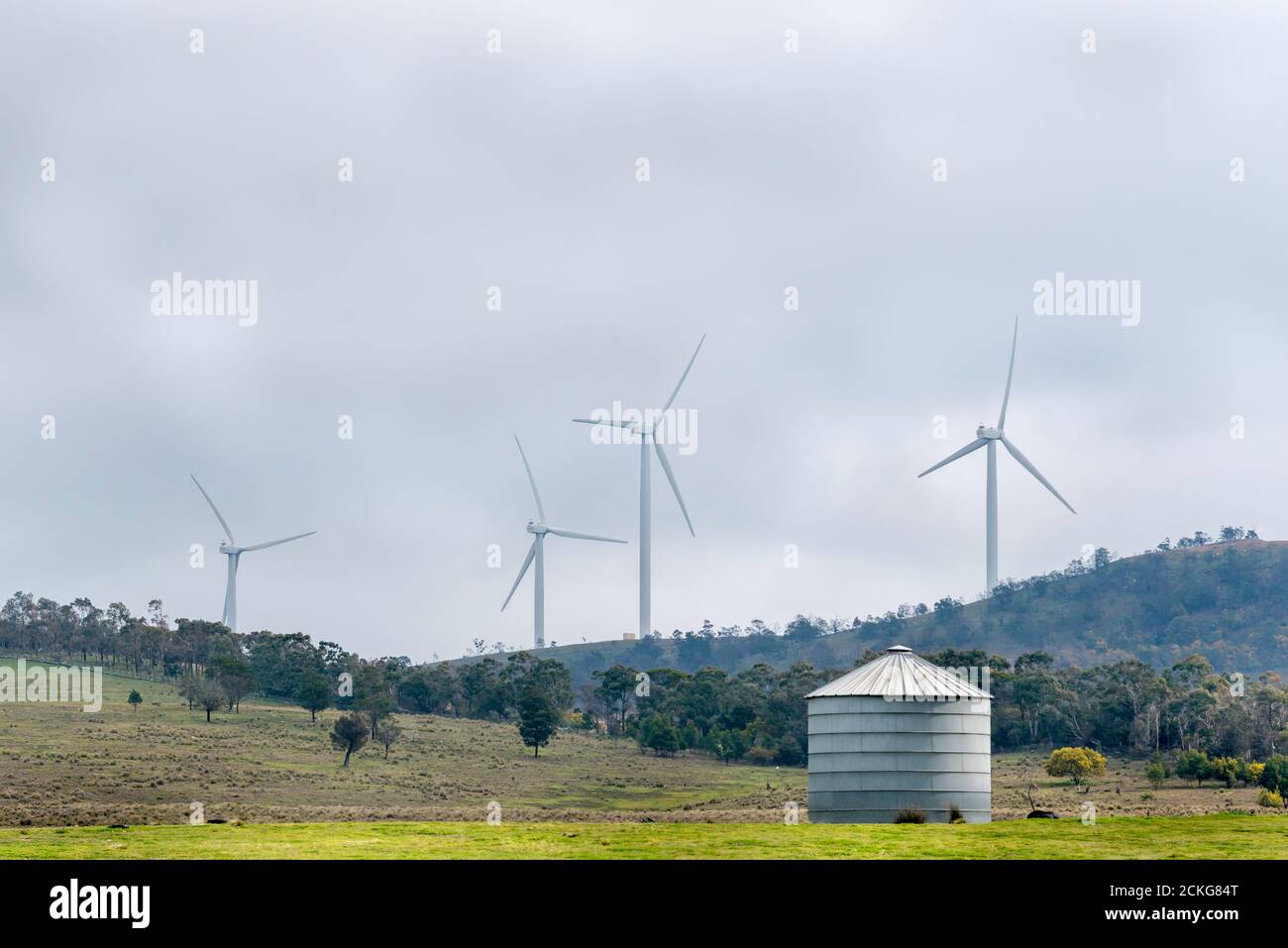 Wind farm turbines at the Capital Wind Farm almost disappear under ...