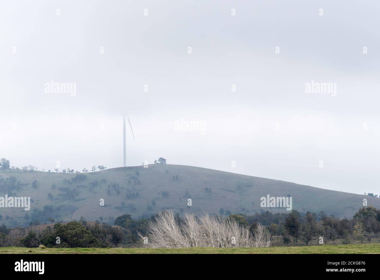 Wind farm turbines at the Capital Wind Farm almost disappear under ...