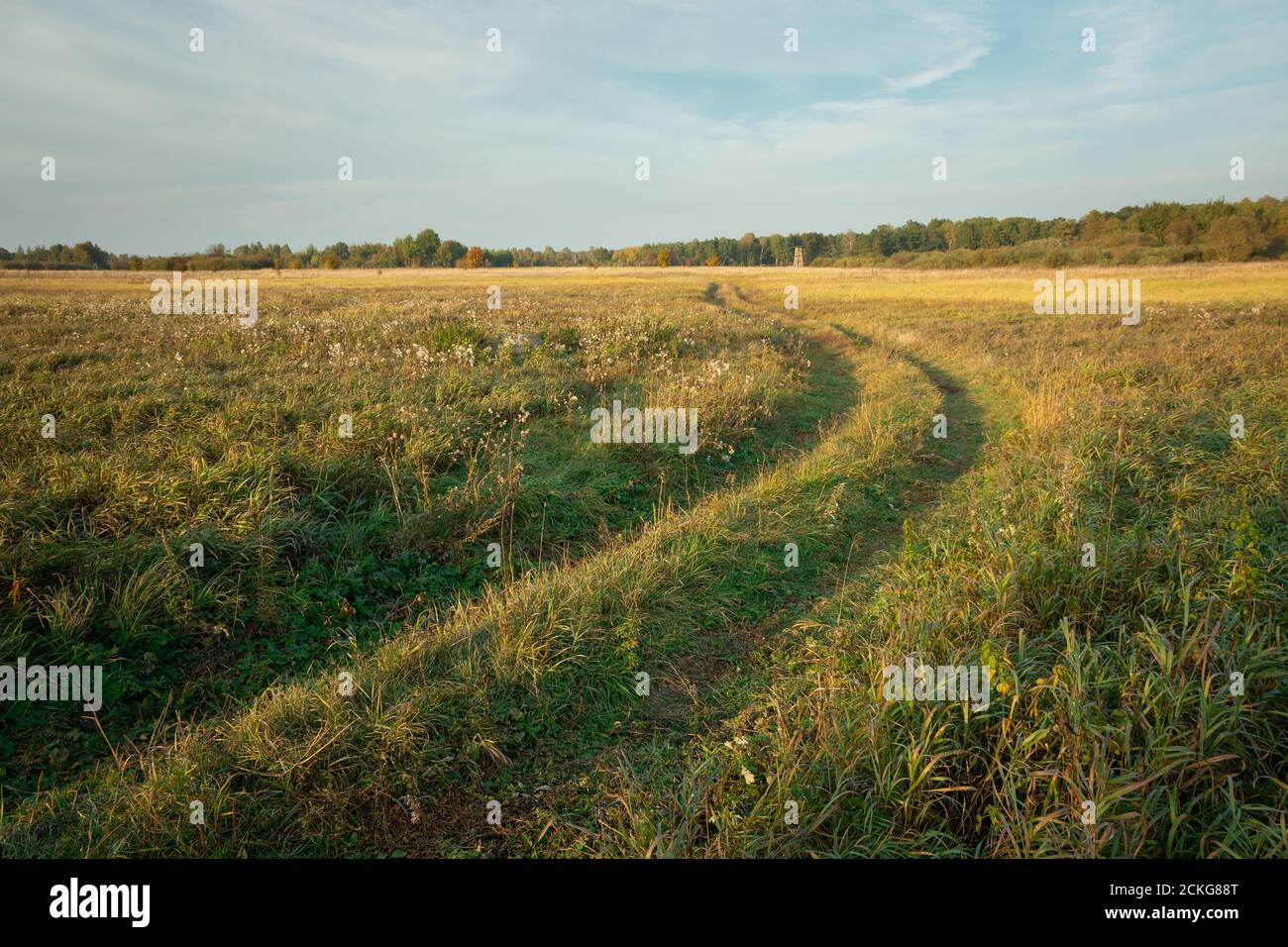 Path winding through meadow hi-res stock photography and images - Alamy
