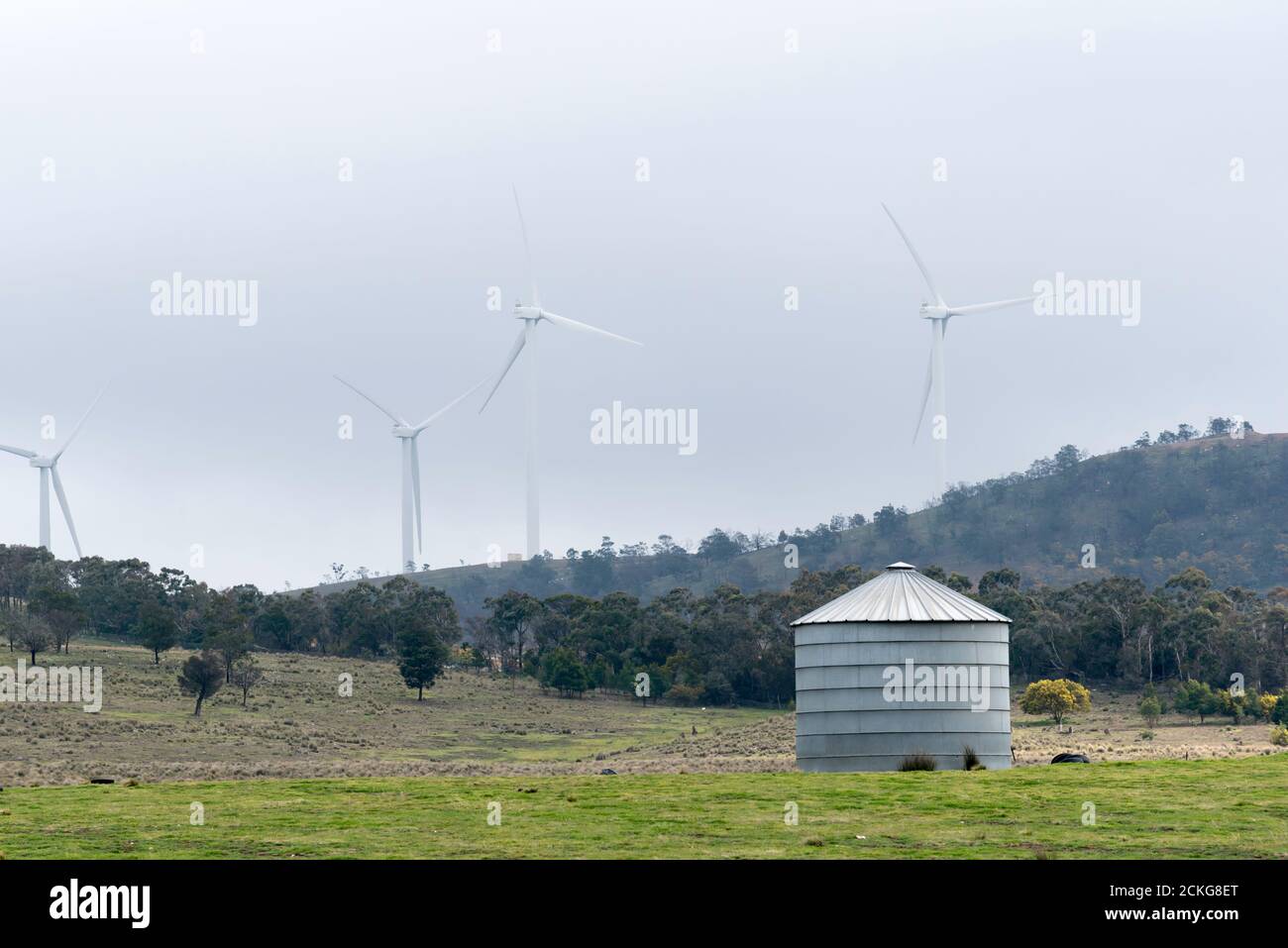 Wind farm turbines at the Capital Wind Farm almost disappear under ...