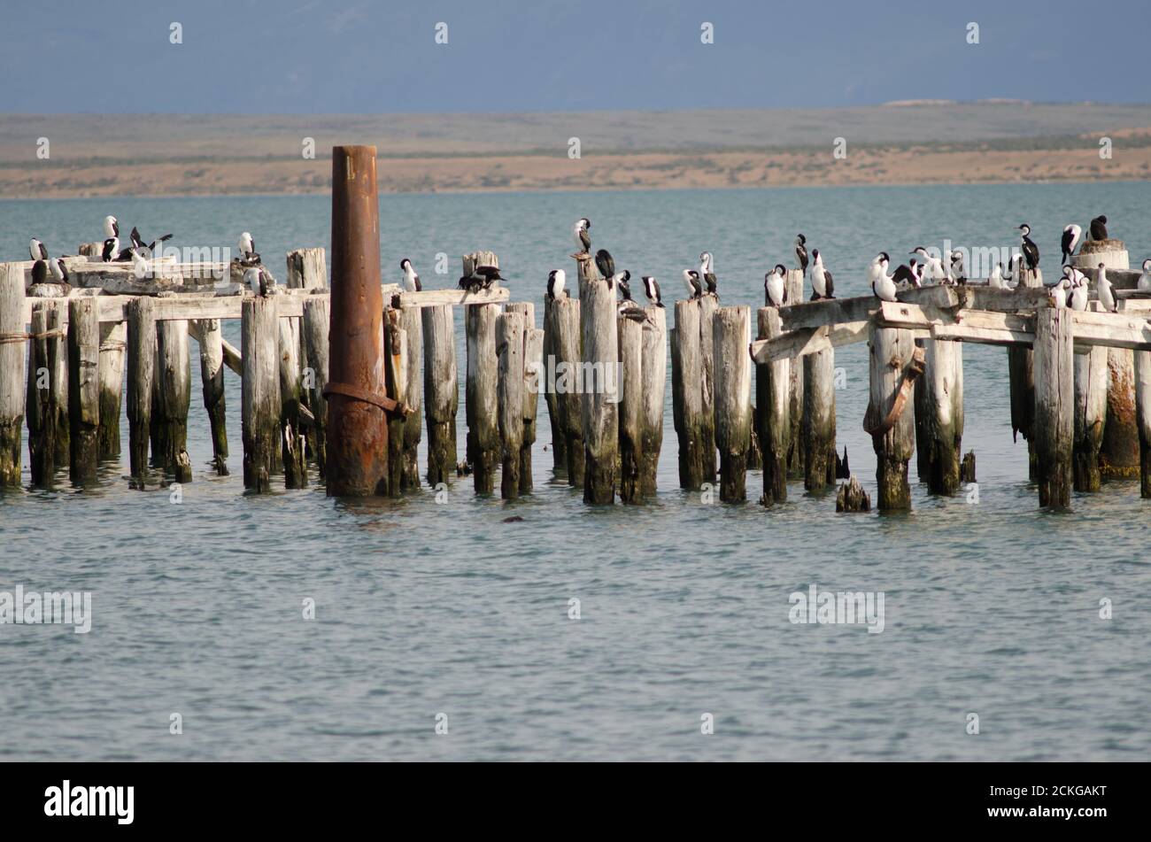 Old pier stumps hi-res stock photography and images - Alamy