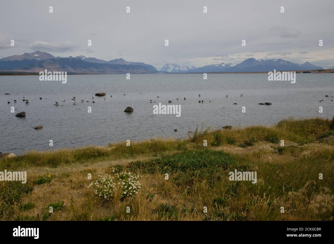Ultima Esperanza Inlet from Puerto Natales. Ultima Esperanza Province ...