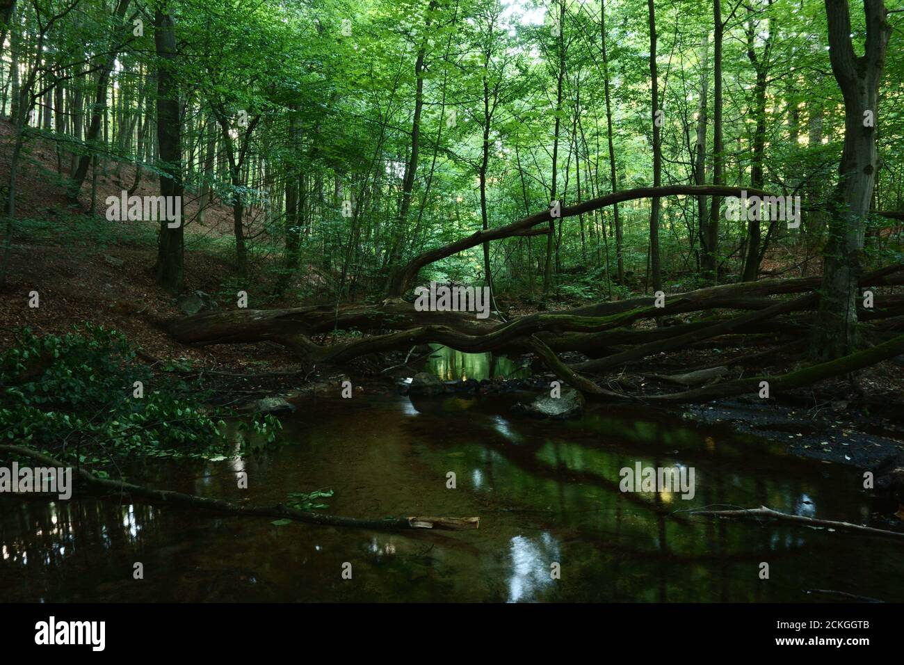 Scenic mountain river in slow hi-res stock photography and images - Alamy
