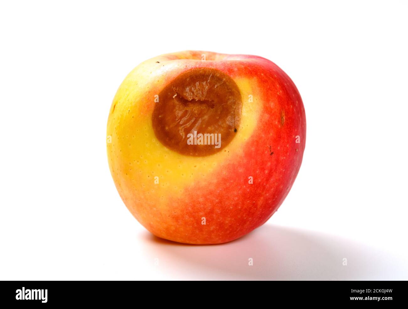 side view rotten apple on a white background Stock Photo - Alamy