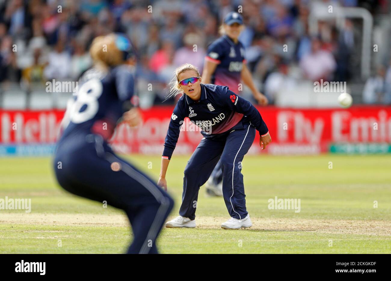 Alex Hartley Cricket High Resolution Stock Photography and Images - Alamy