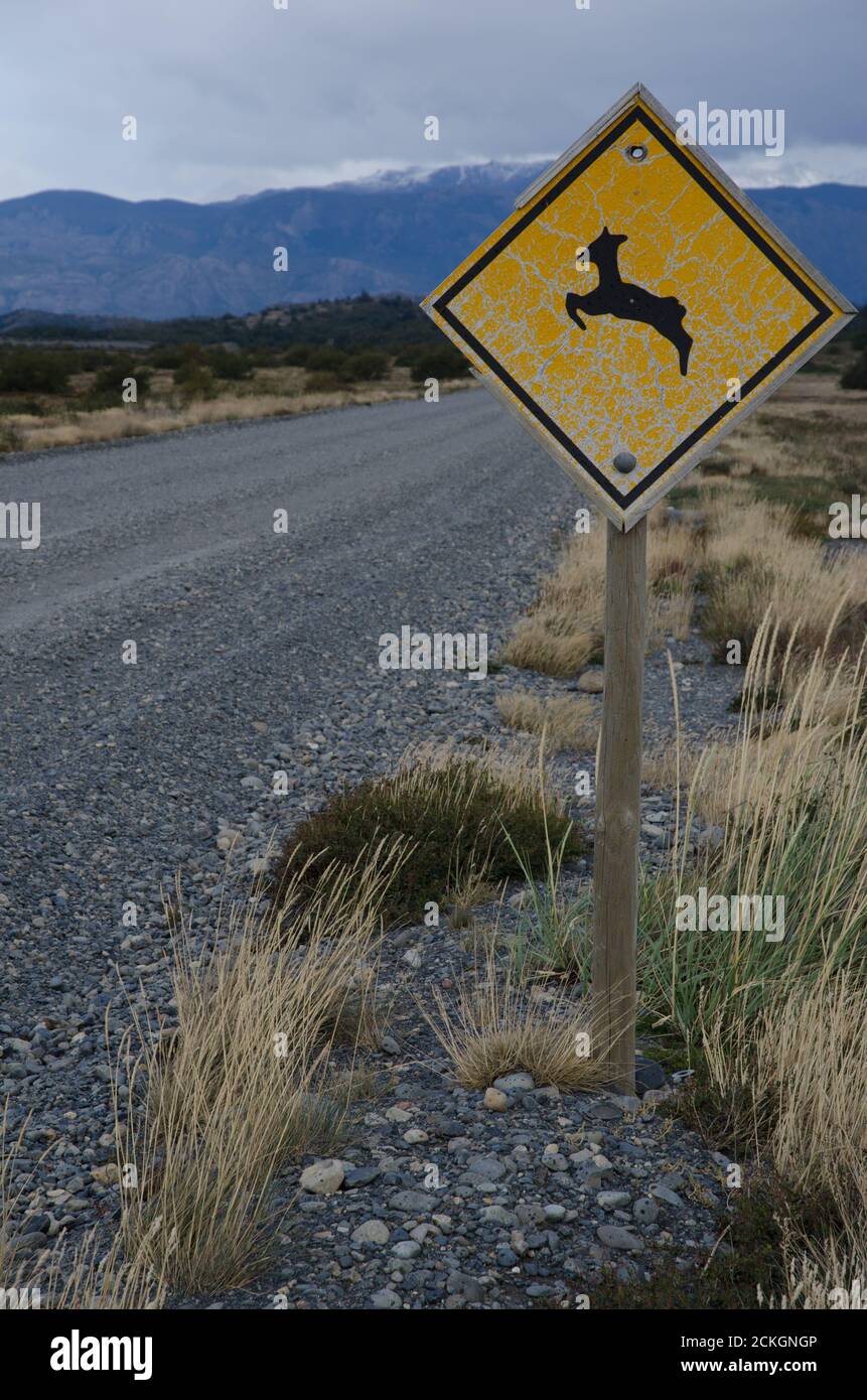 Roadside deer crossing sign hi-res stock photography and images - Alamy