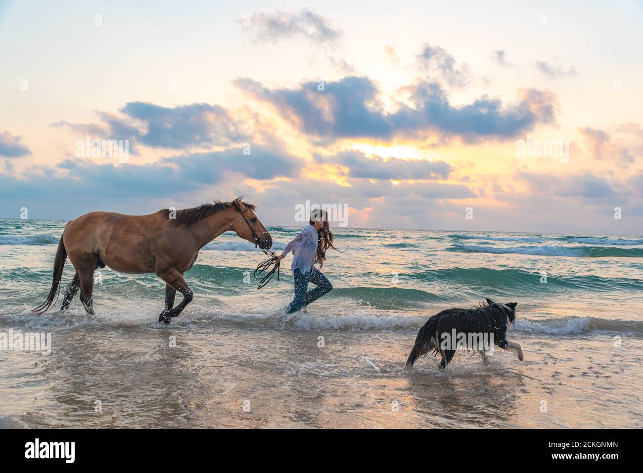 Woman girl riding bareback hi-res stock photography and images - Alamy