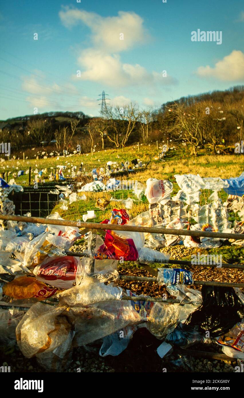 Plastic rubbish blown off a landfill site in Barrow in Furness, Cumbria ...
