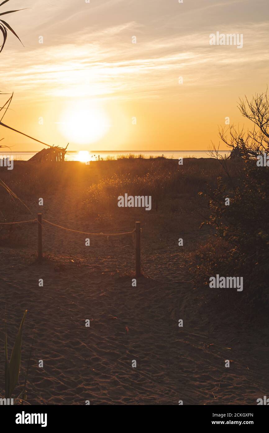 Sun rising on a sandy beach landscape with wooden fence Stock Photo - Alamy