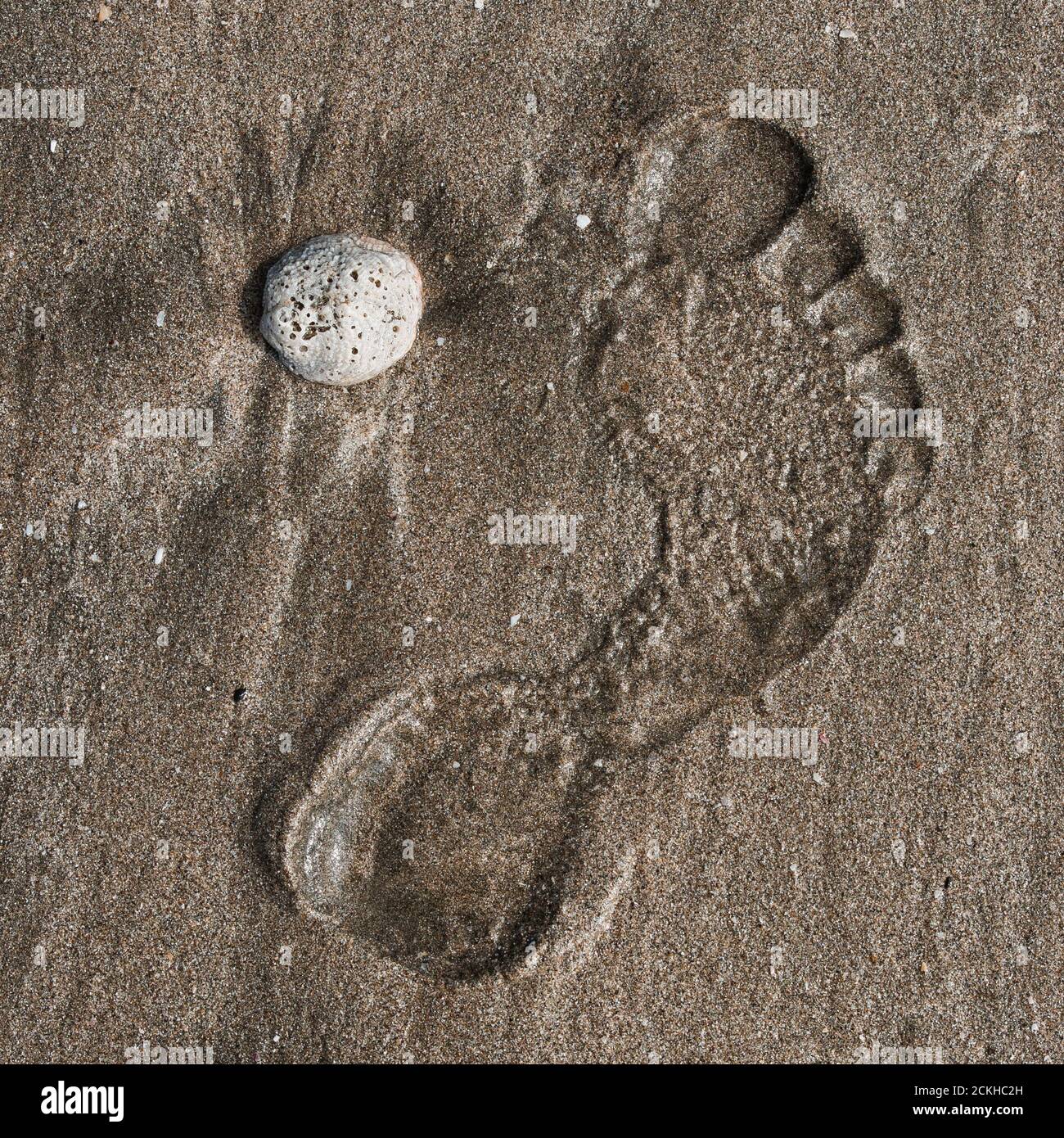 Footprint next to the seashell on a beach near Ngwe Saung in Myanmar ...