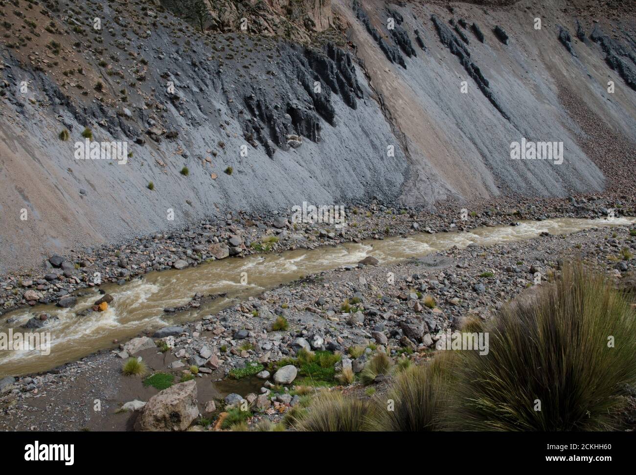 Lauca River in Lauca National Park. Arica y Parinacota Region. Chile ...