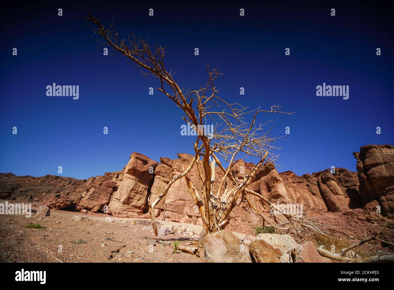 Solomon's Pillars, Timna Valley, Arava, Israel. The Timna Natural and ...