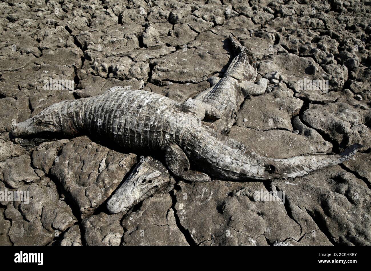 Pilcomayo river hi-res stock photography and images - Alamy