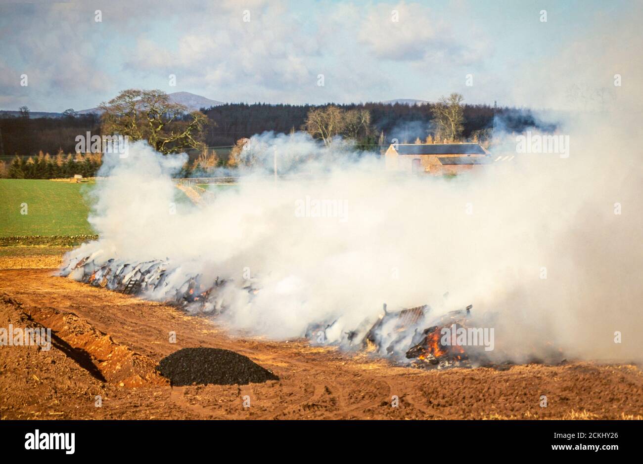 Cattle being burned on a funeral pyre during the 2001 Foot and Mouth ...
