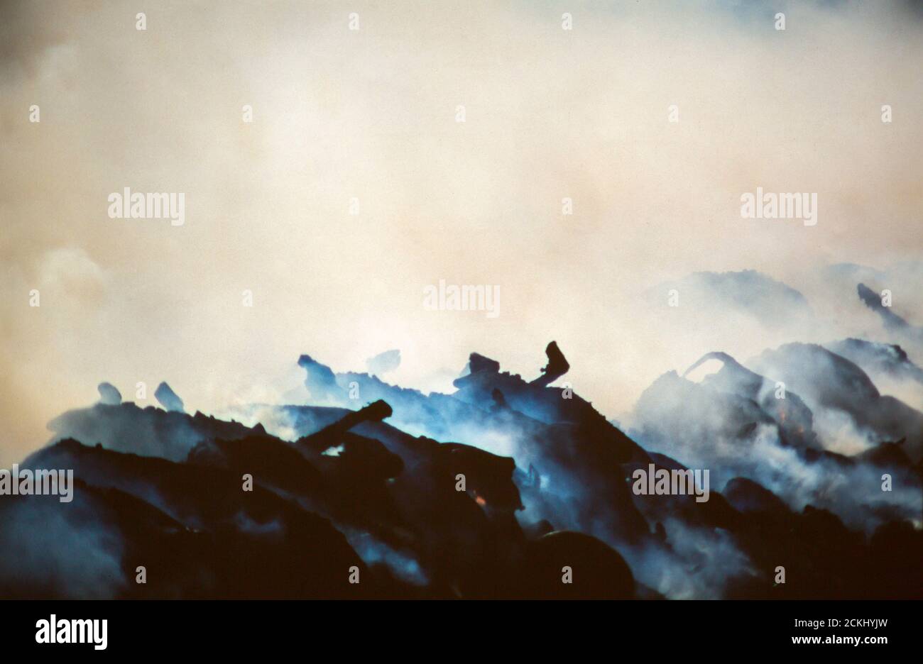 Cattle being burned on a funeral pyre during the 2001 Foot and Mouth ...