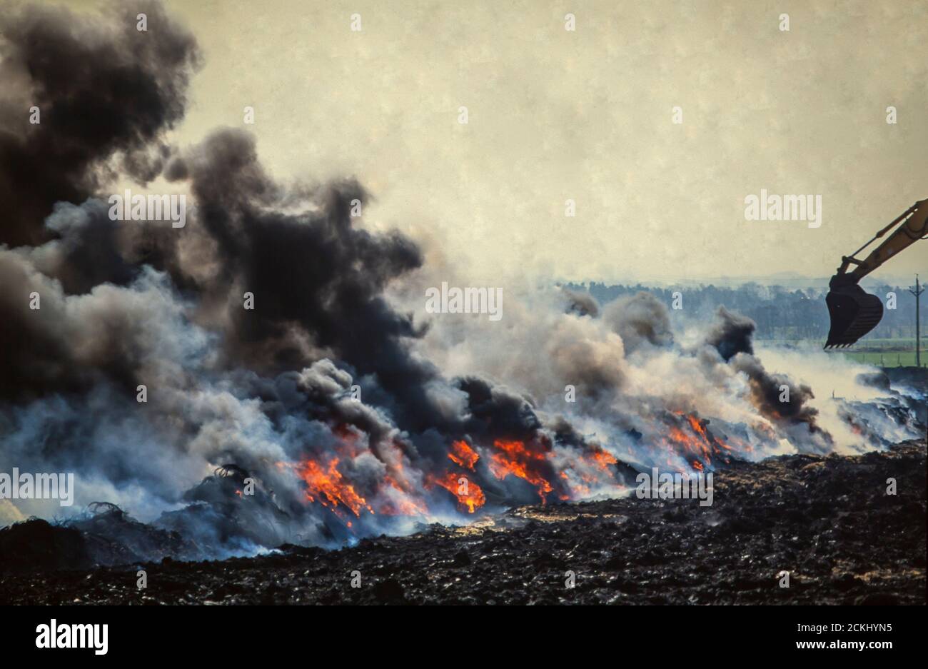 Cattle being burned on a funeral pyre during the 2001 Foot and Mouth ...