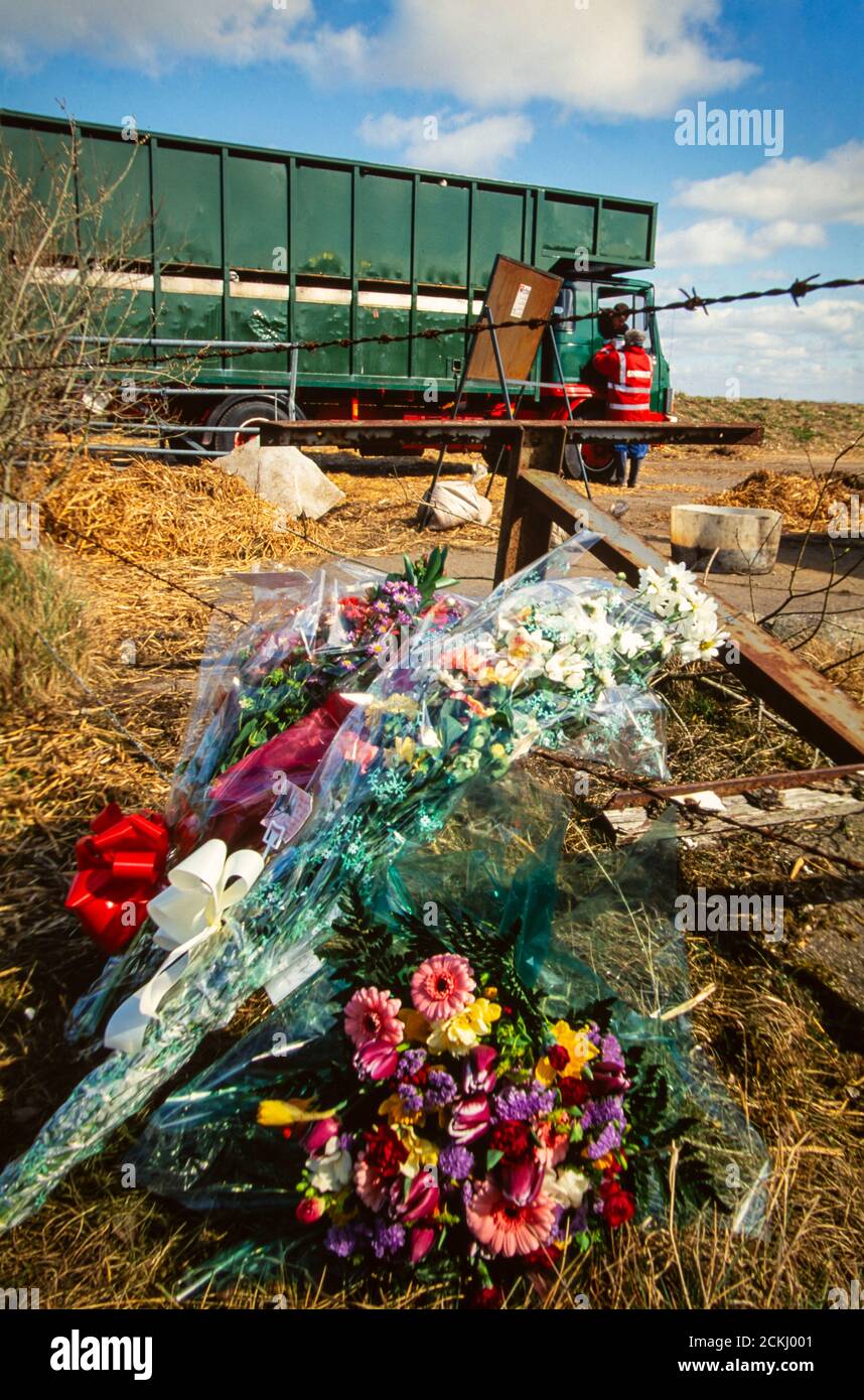 Flowers in memory of all the slaughtered animals during the 2001 Foot ...