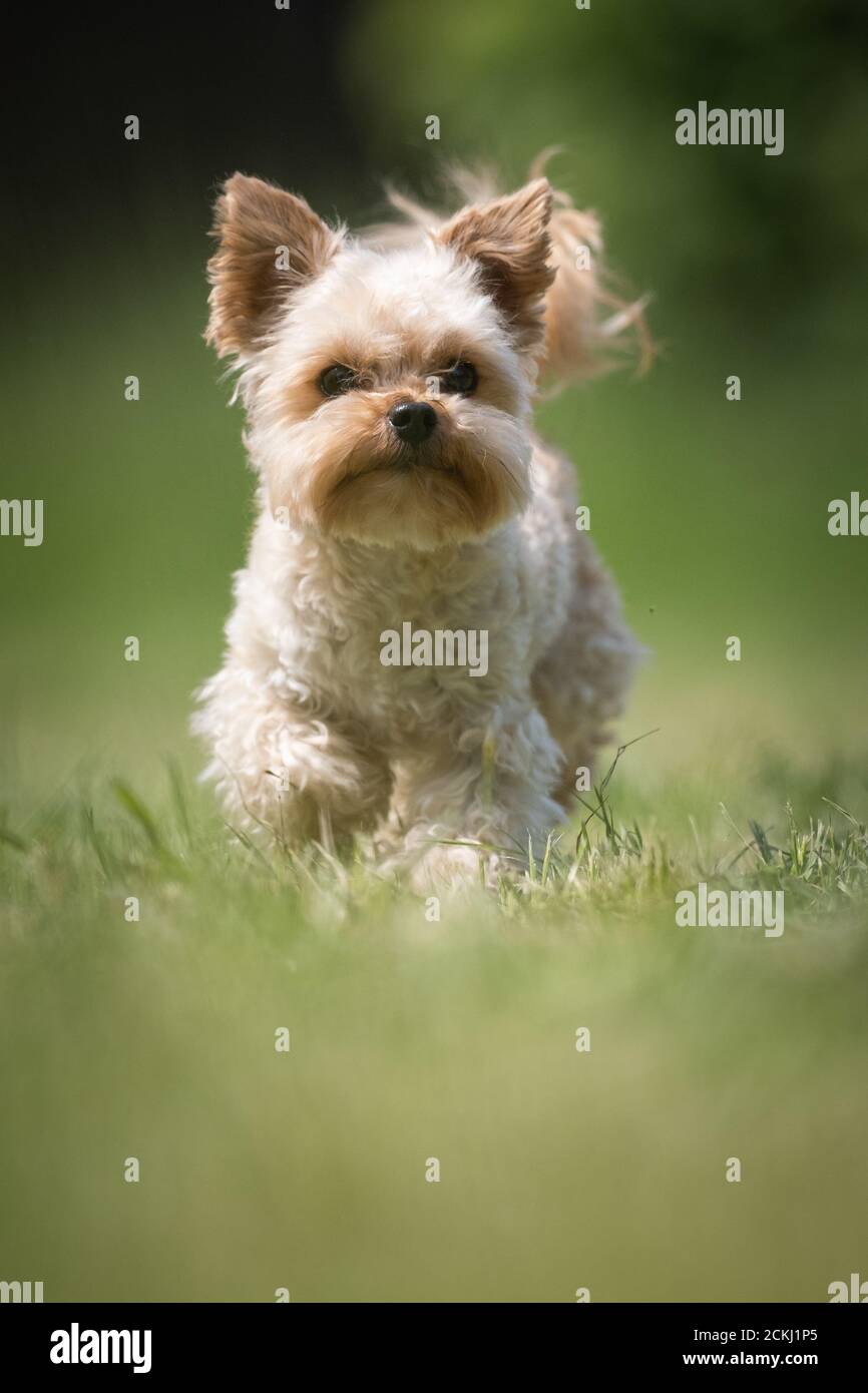 Rescue outdoor hi-res stock photography and images - Alamy