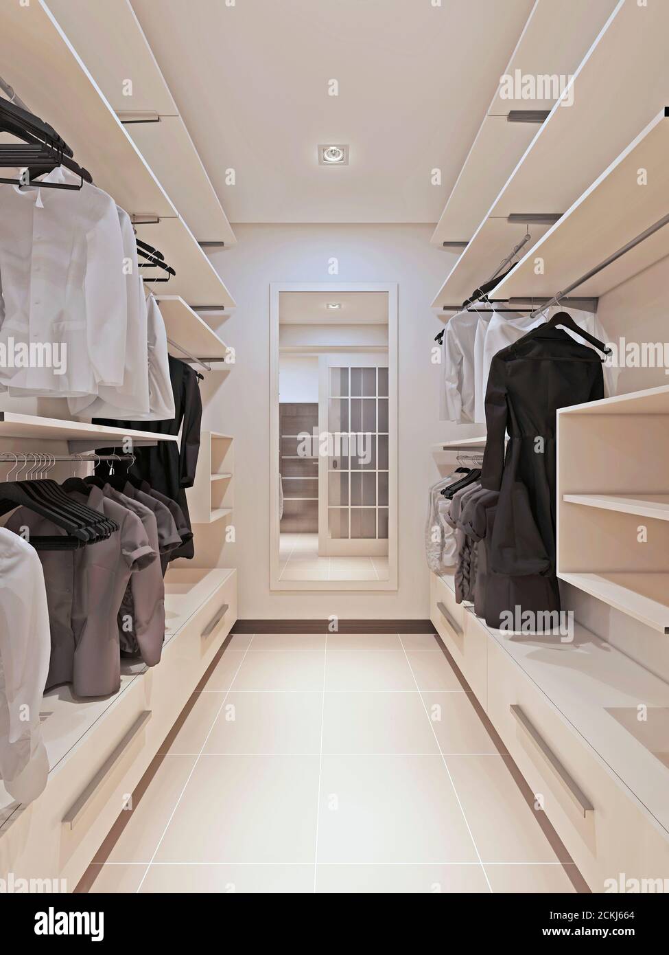 Large wardrobe in a modern style interior. 3d render Stock Photo - Alamy