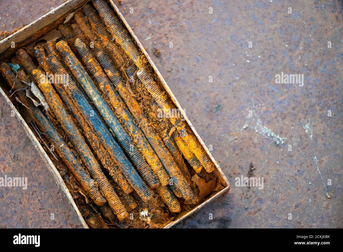 Dark brown studs hi-res stock photography and images - Alamy