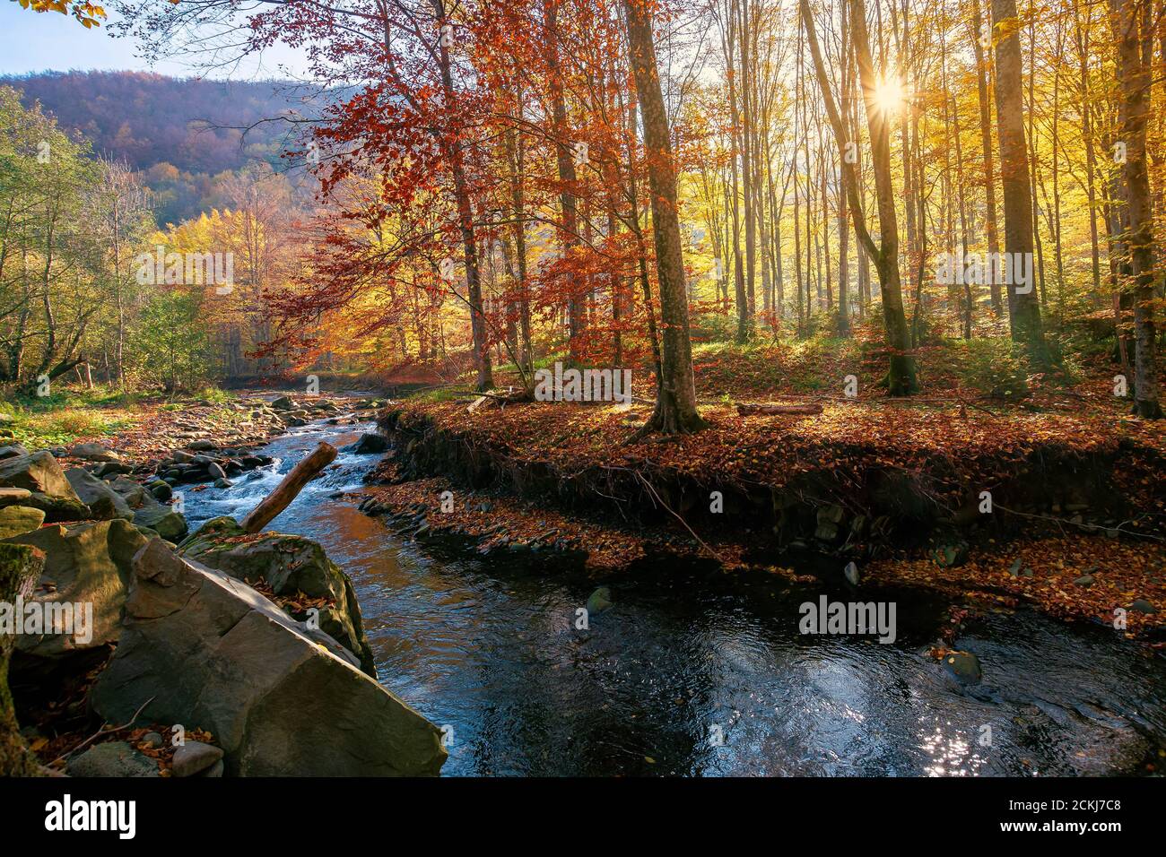 River among trees hi-res stock photography and images - Alamy