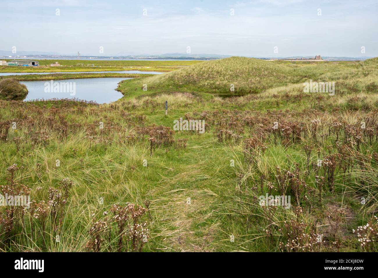 South Walney Nature reserve Stock Photo - Alamy