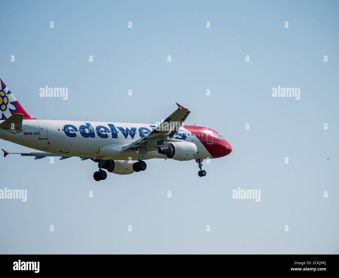Edelweiss air plane hi-res stock photography and images - Alamy