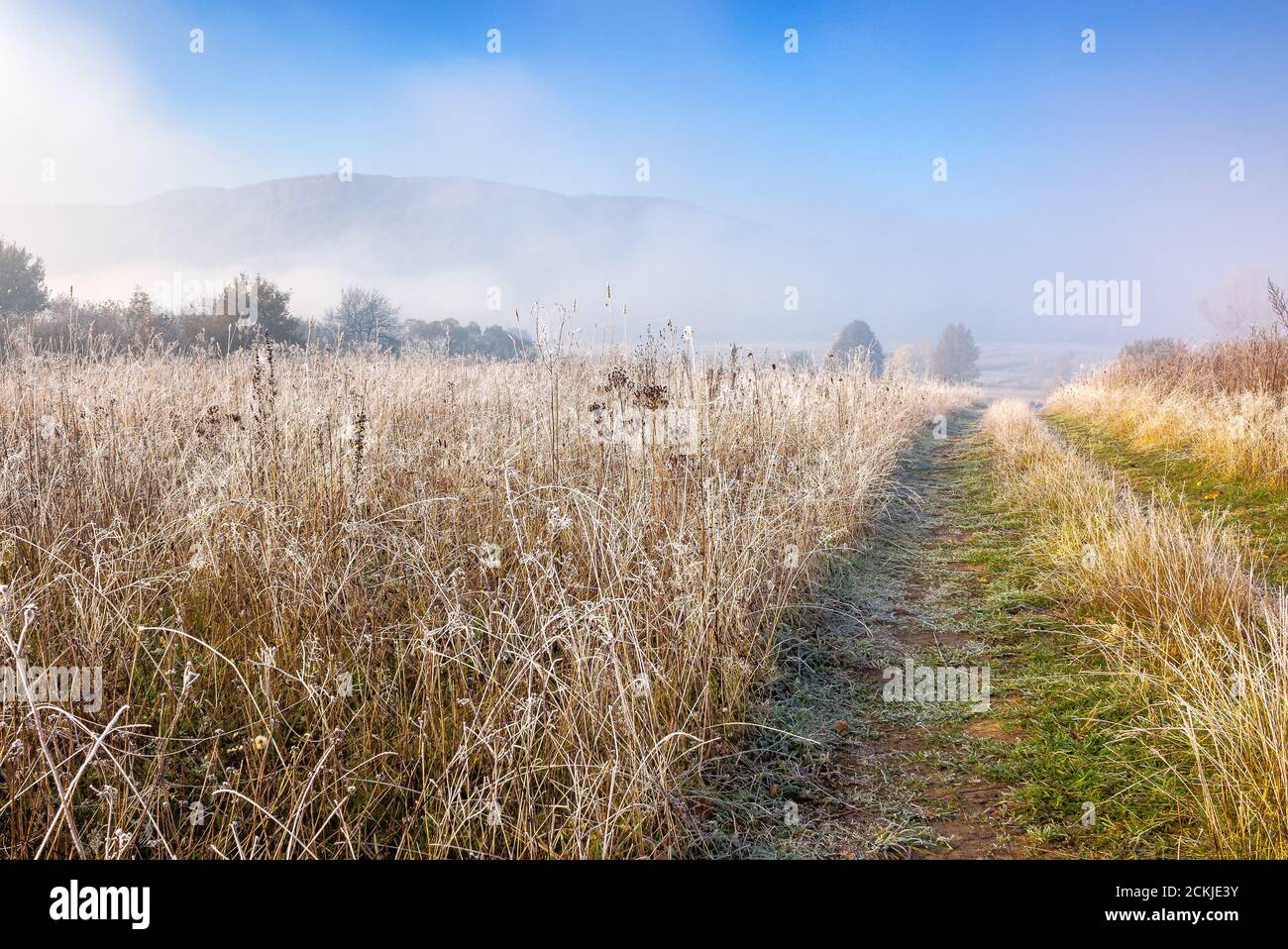 empty rural fields in morning mist. countryside scenery in autumn Stock ...