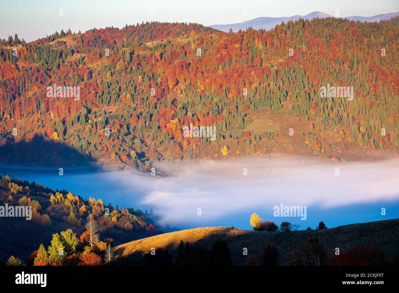 morning rural landscape in mountains. beautiful countryside scenery in ...