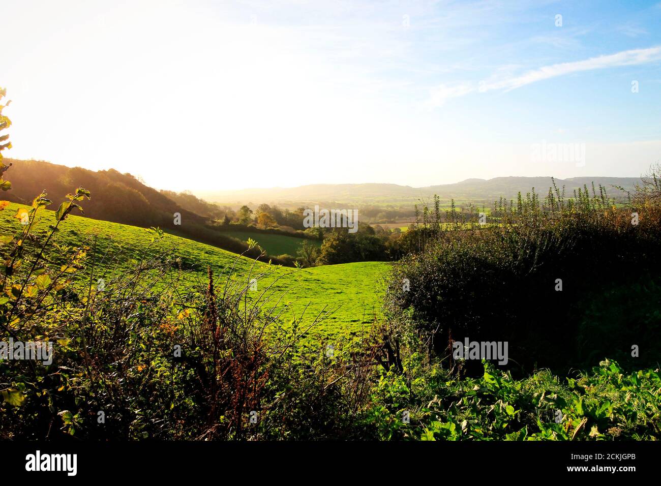 Beautiful dorset landscape hi-res stock photography and images - Alamy
