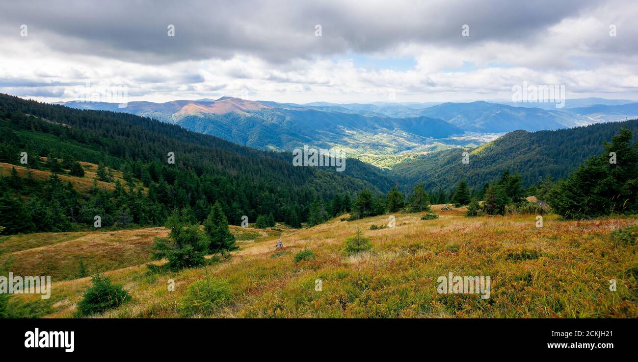 beautiful autumn landscape. hillside of mountain range with coniferous ...
