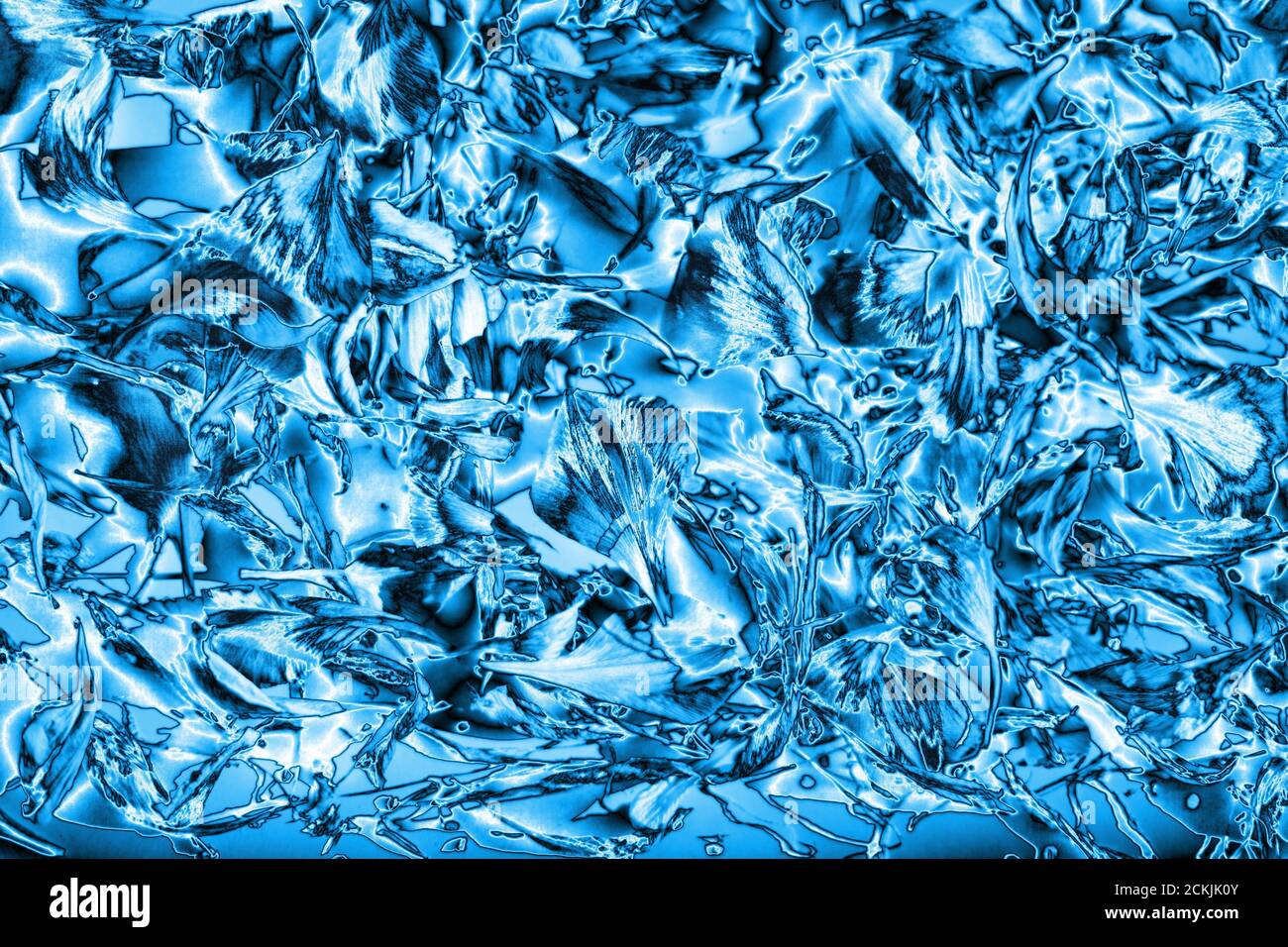 Abstract blue shiny background, blurred flower petals backdrop ...