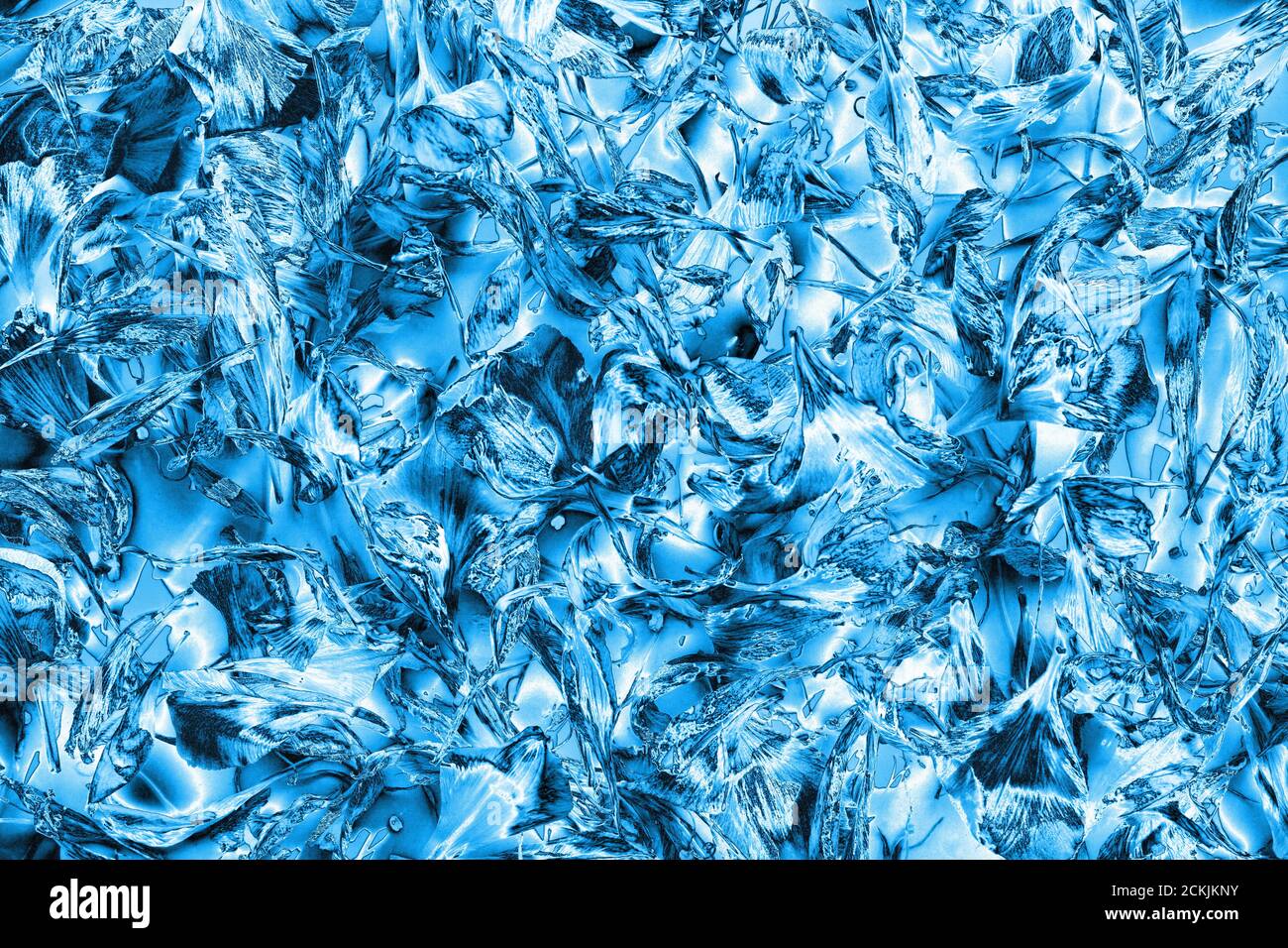 Abstract blue shiny background, blurred flower petals backdrop ...
