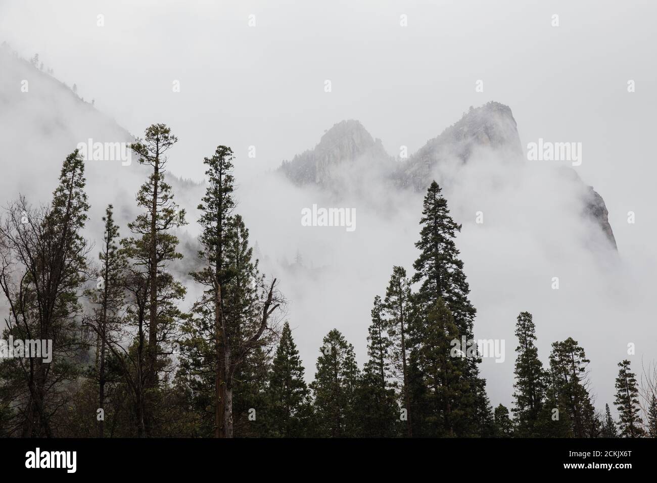 Trees and mountains of Yosemite National Park on a foggy day Stock ...