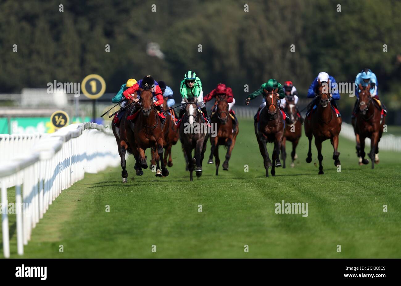 Just fine ryan moore hi-res stock photography and images - Alamy