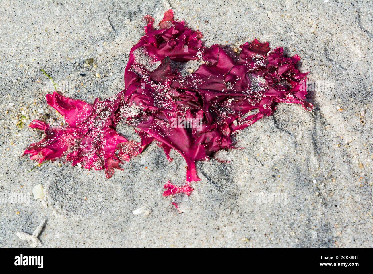 Porthloo beach hi-res stock photography and images - Alamy
