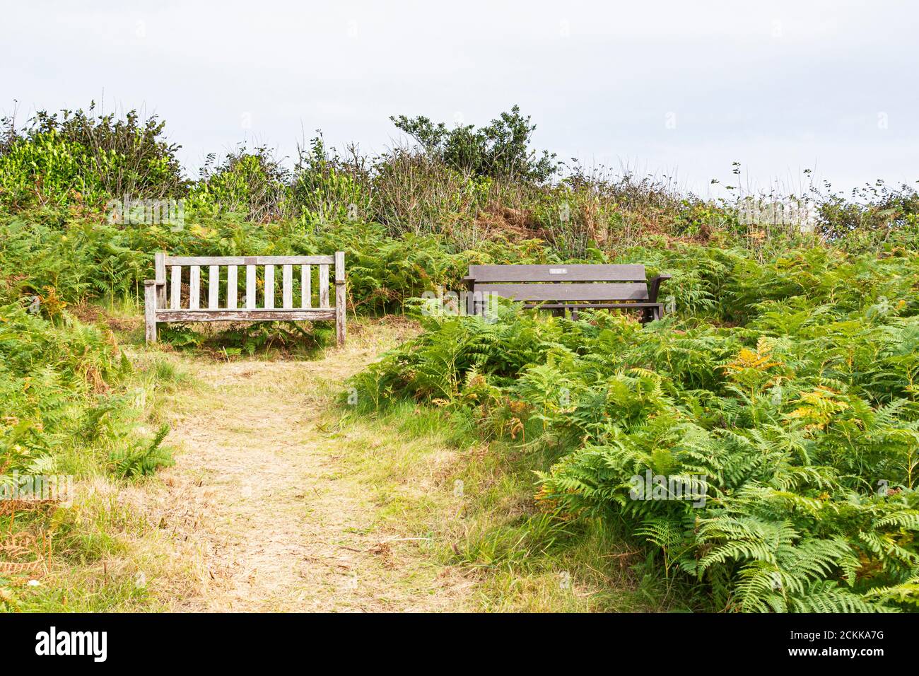 Porthmellon beach hi-res stock photography and images - Alamy