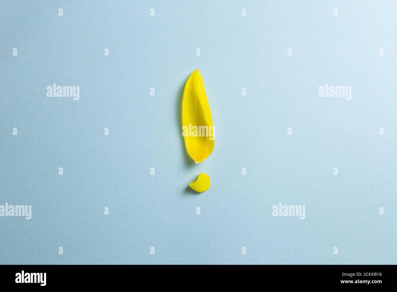 Yellow flower leaf Exclamation mark isolated on blue background ...