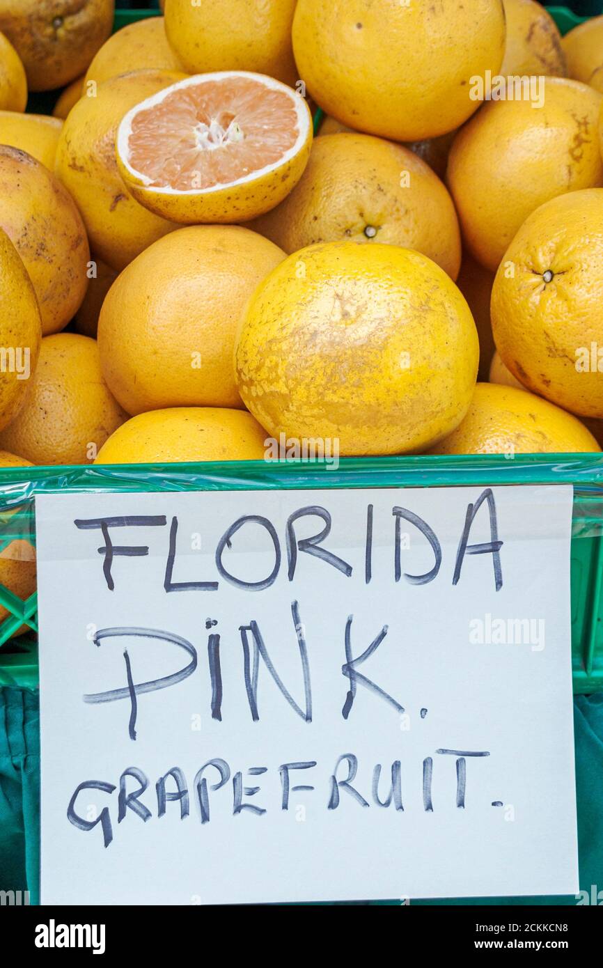 Miami Beach Florida,Lincoln Road pedestrian mall shopping farmers ...