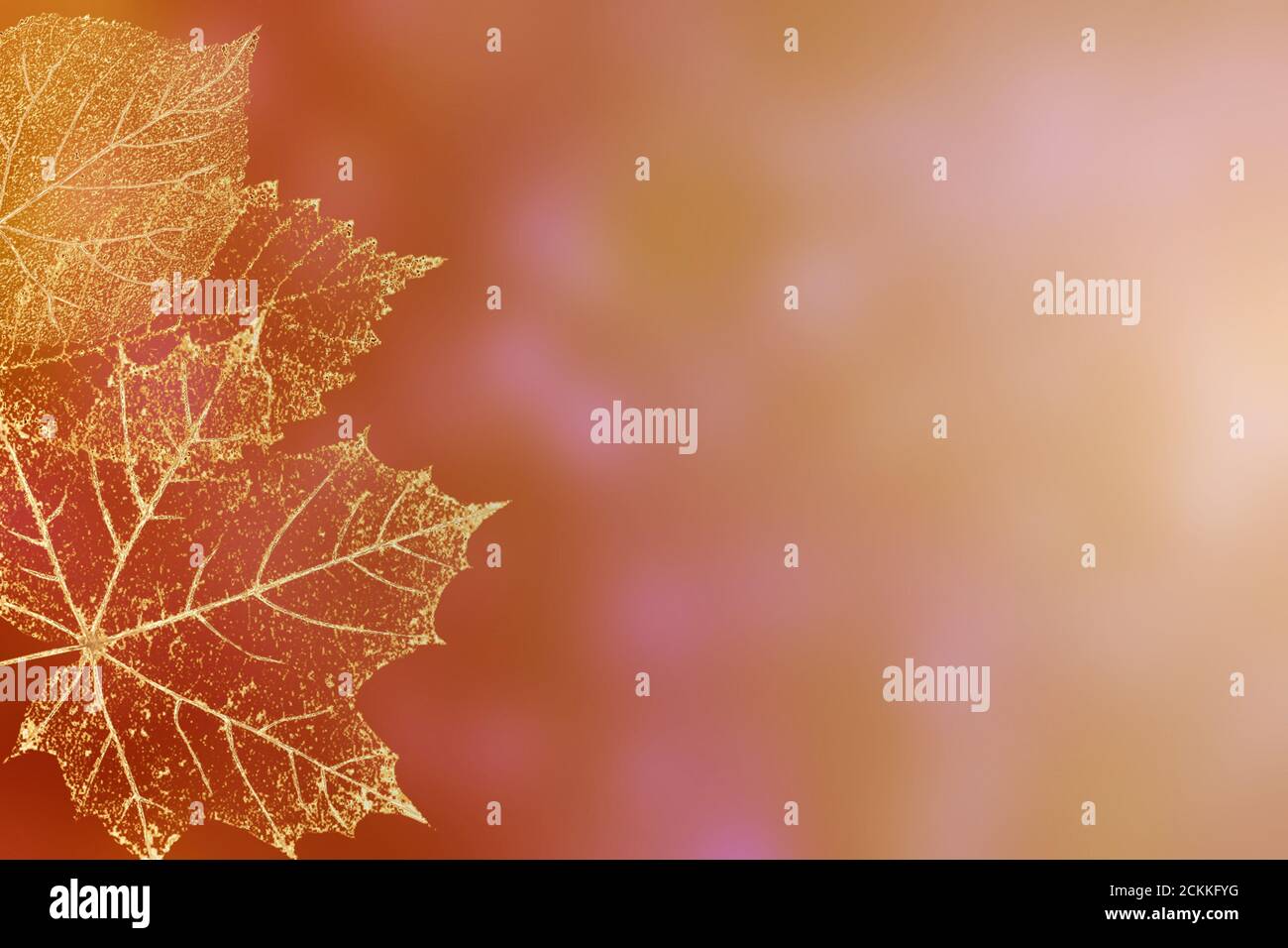 Autumn bright color horizontal background. Beautiful orange gold ...