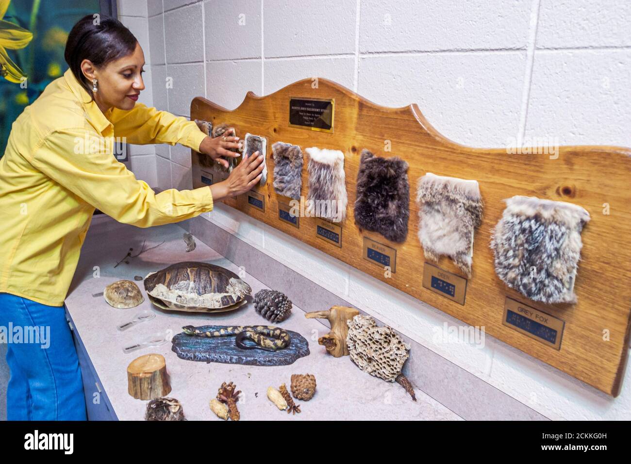 Virginia Newport News Discovery Center centre,inside interior,hands on ...