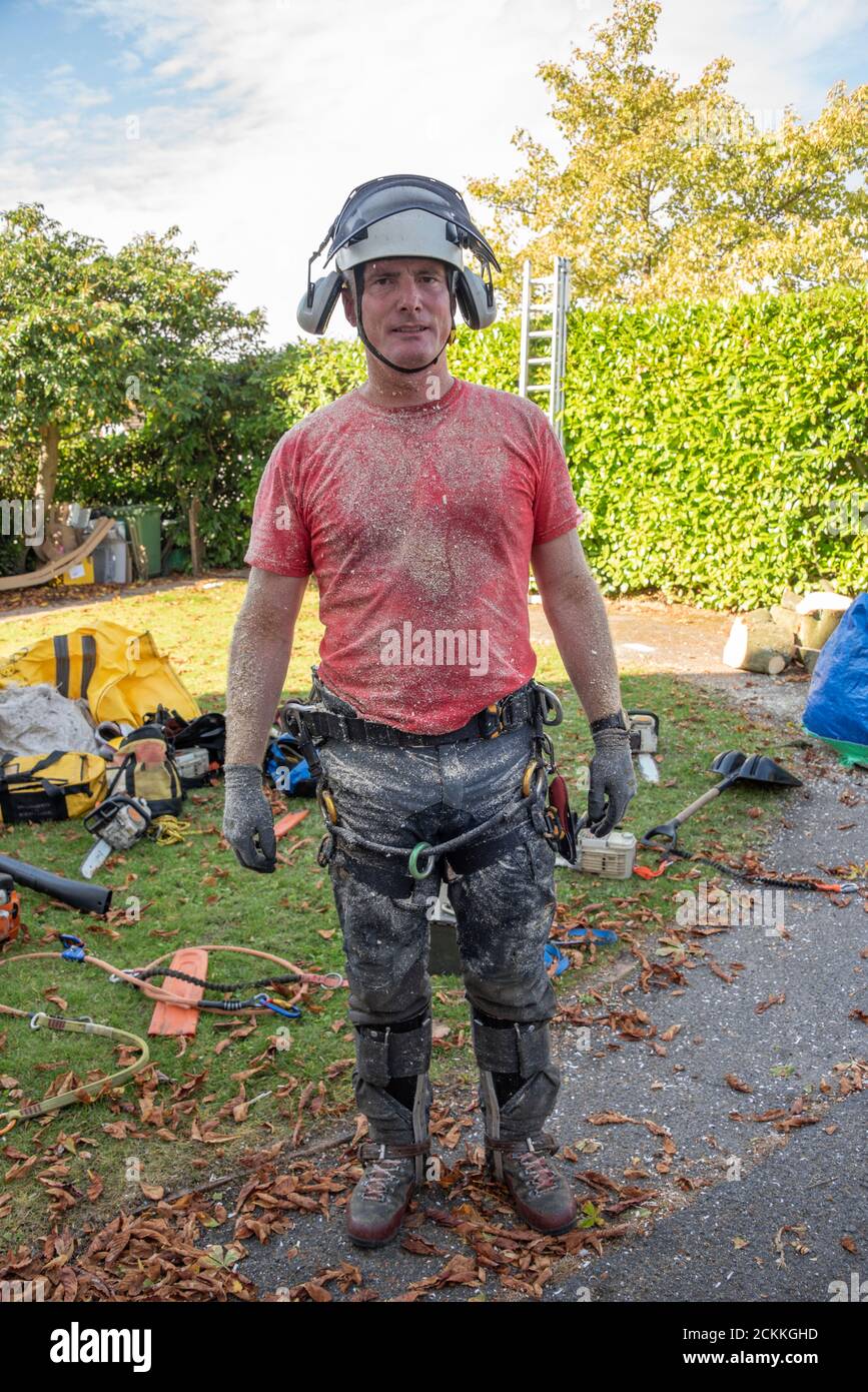Professional tree surgeon wearing hi-res stock photography and images ...