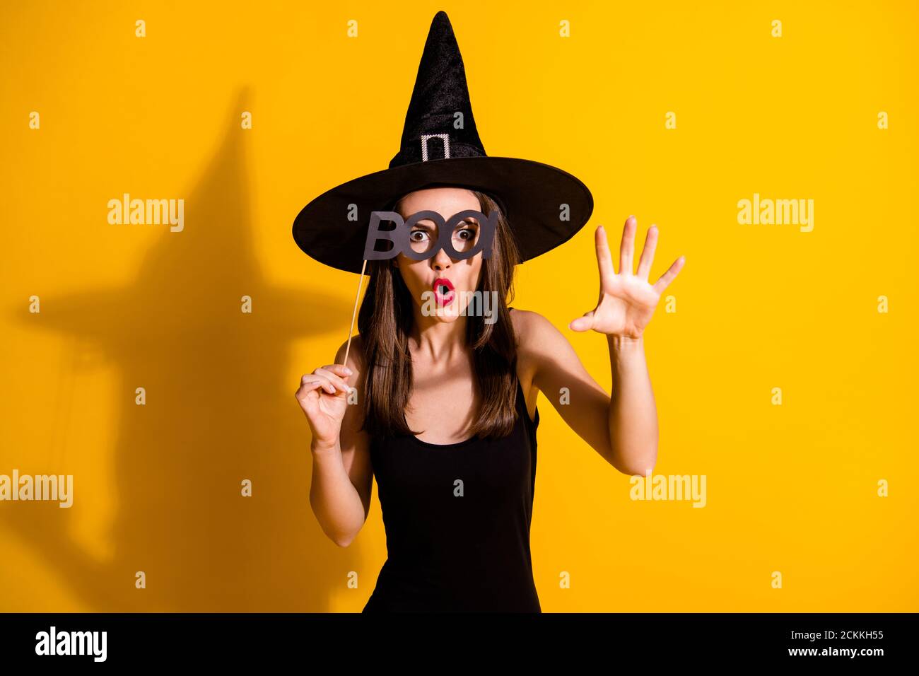 Portrait of her she nice attractive pretty spooky scary lady wizard ...