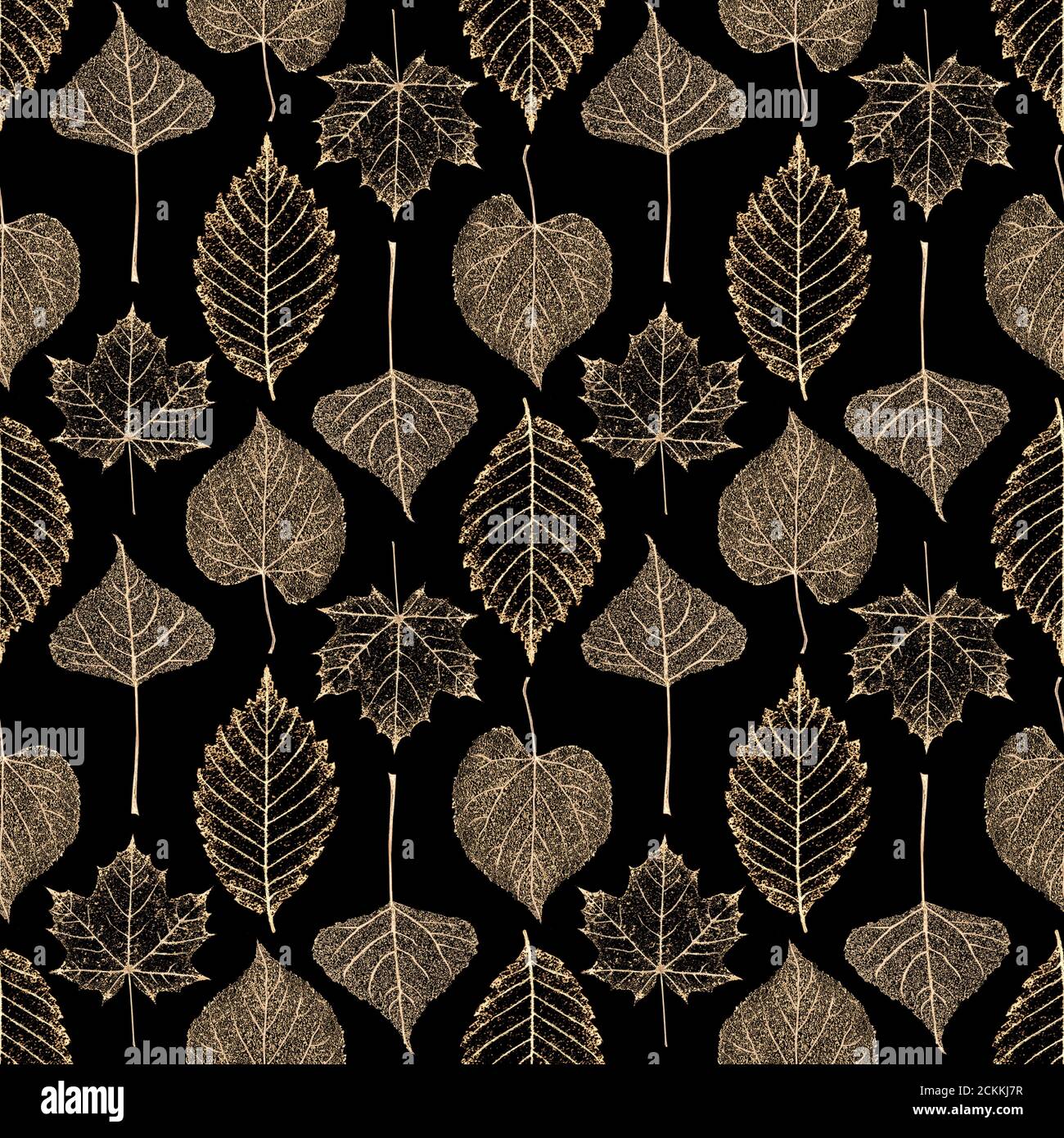 Skeletal ornament hi-res stock photography and images - Alamy