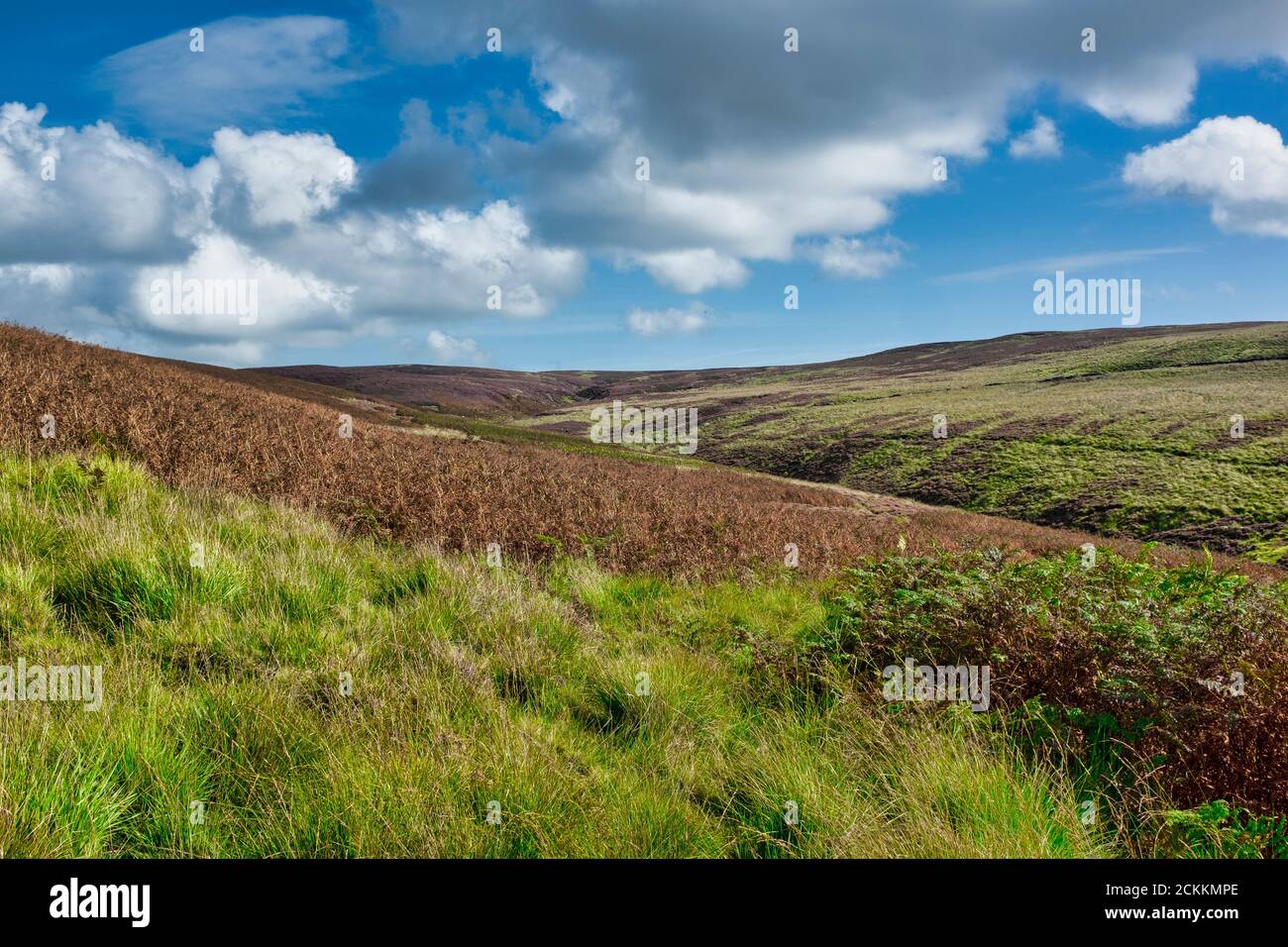 Wheelton moor hi-res stock photography and images - Alamy