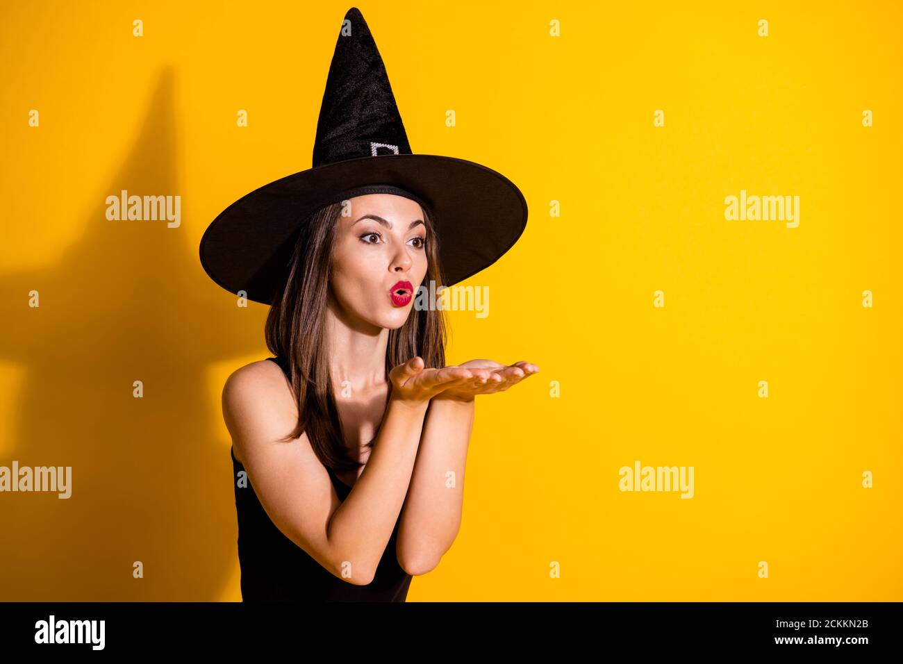 Close-up profile side view portrait of her she nice-looking attractive ...