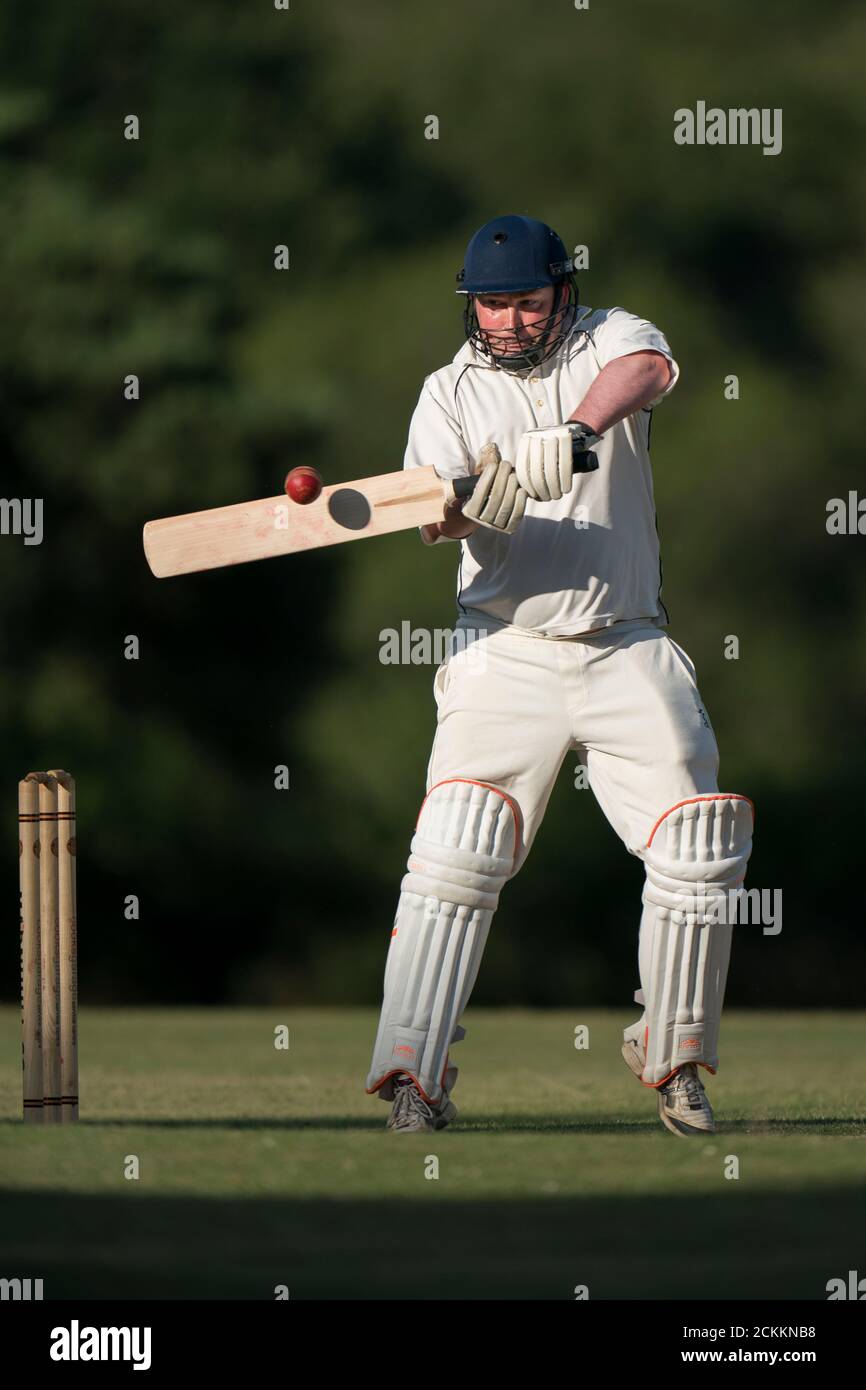 Cricket batsman playing shot Stock Photo - Alamy